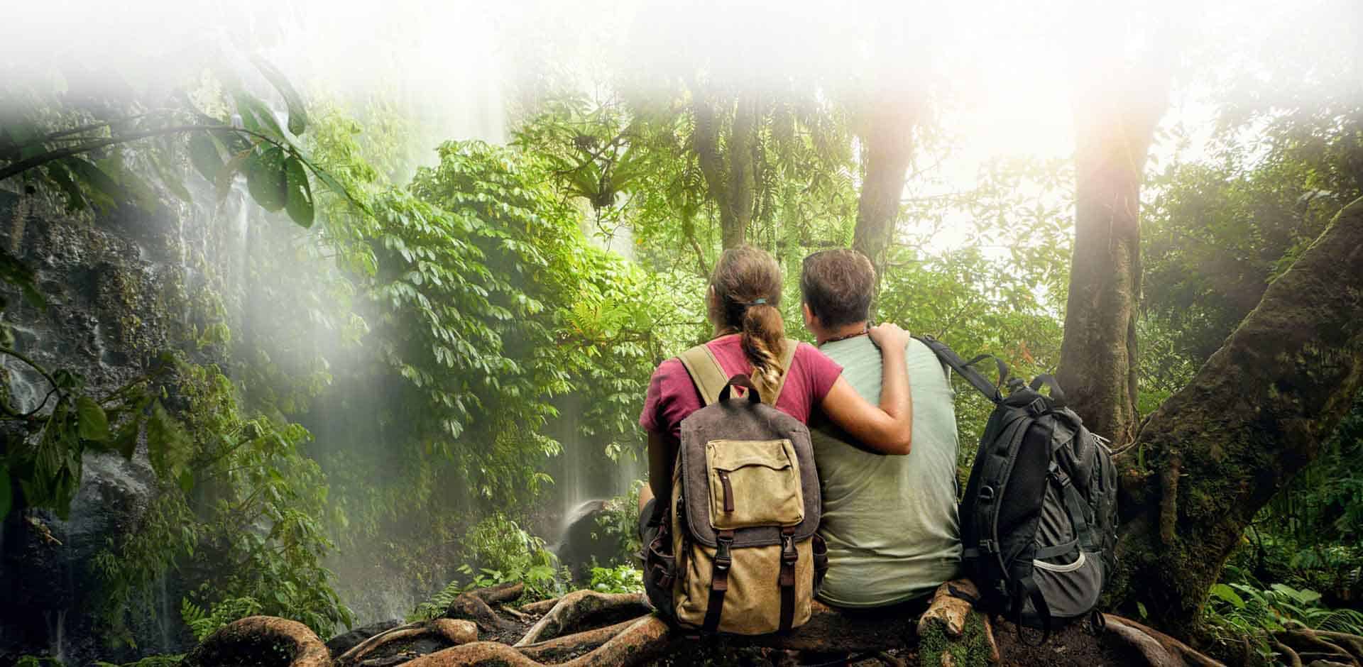 Rivermist Resorts - Nature Resorts in Chikmagalur Karnataka