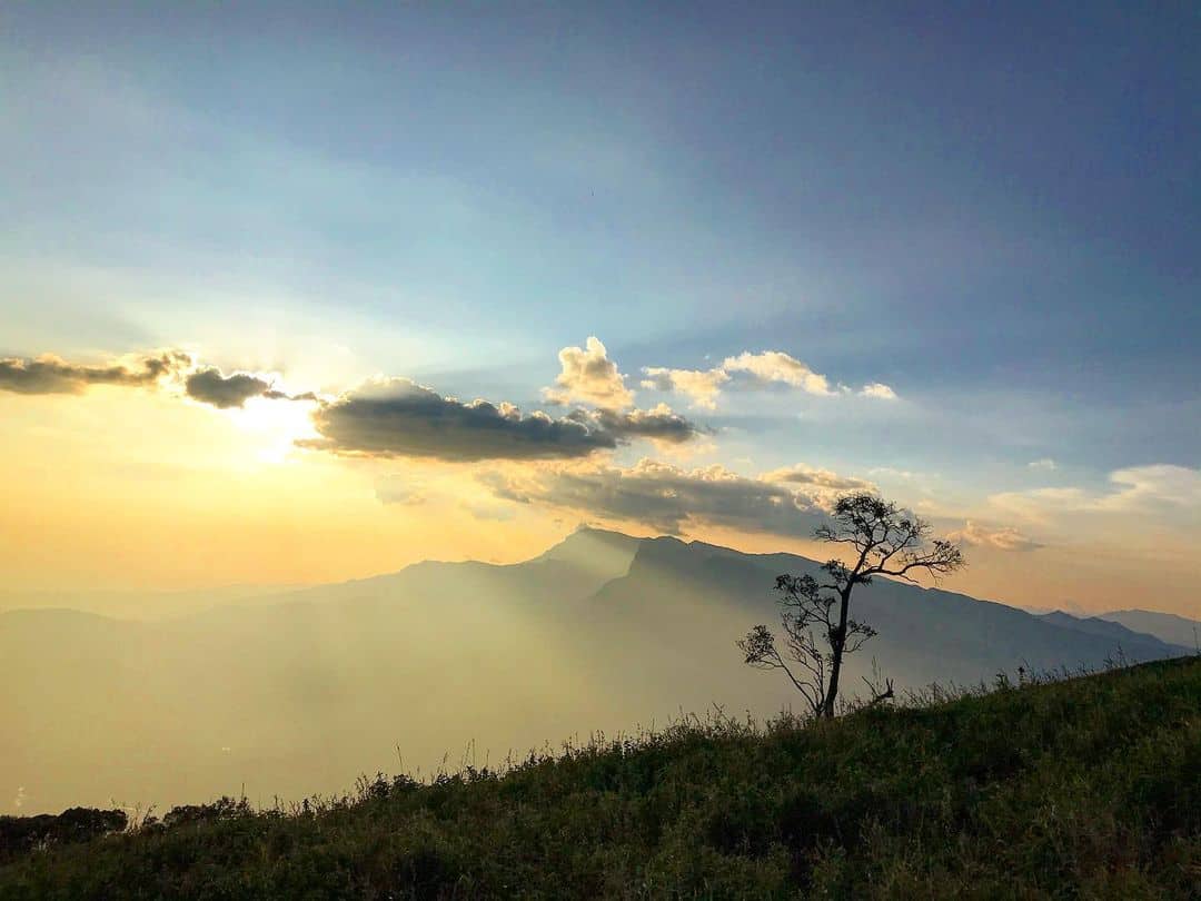 The Best One Day Trek in Chikmagalur You Don’t Know About ...