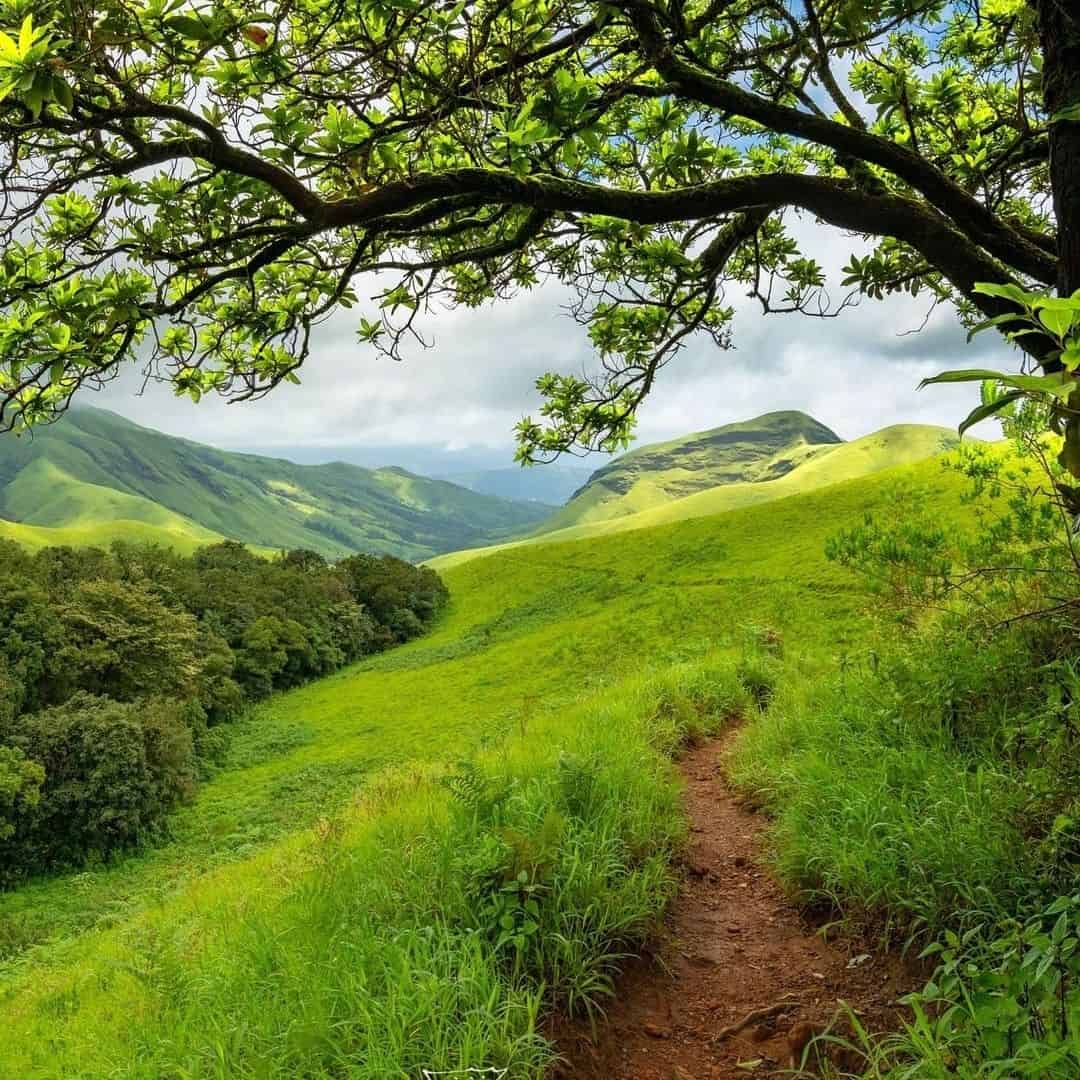 8 Best places to visit near Bangalore for a relaxing holiday