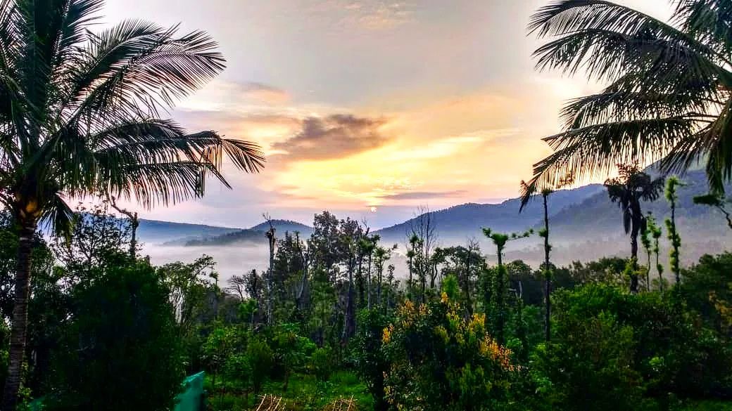 Enjoy the Natural Beauty and Serene Tranquillity of Devaramane